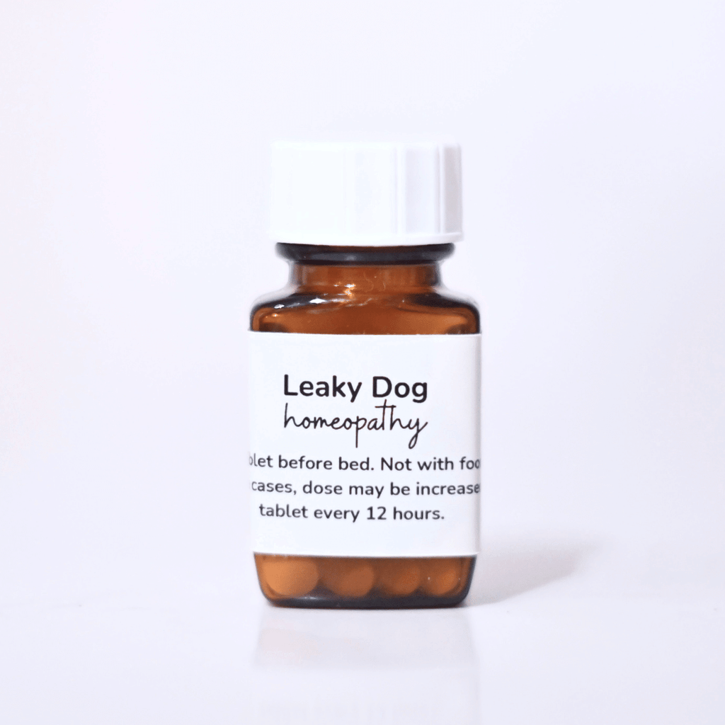 Canine Natural Cures | Natural Supplements for Dogs