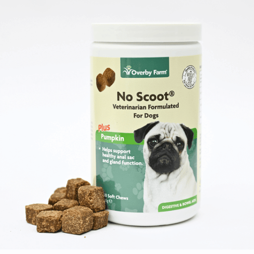 Anal Gland Support — Canine Natural Cures